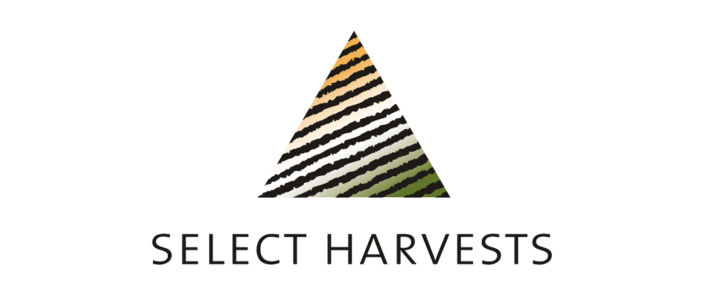 Comprehensive Industrial Contracting | Champion Industrial